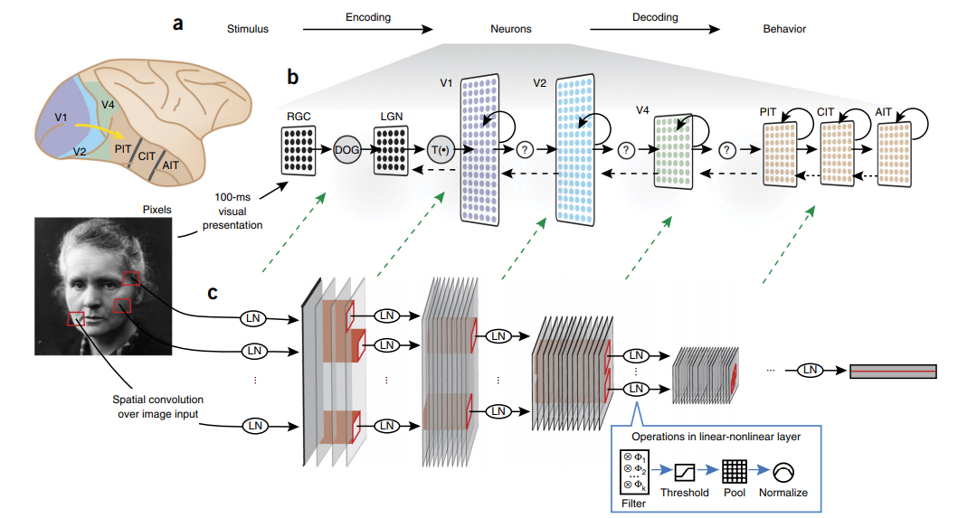 INFO8010: Deep Learning