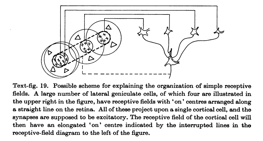 INFO8010: Deep Learning