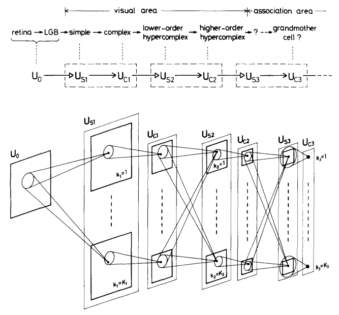 INFO8010: Deep Learning